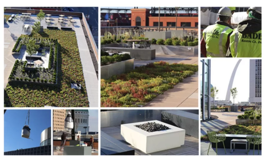 Innovative Green Roof Design Green Roof Design Tips For Your Home